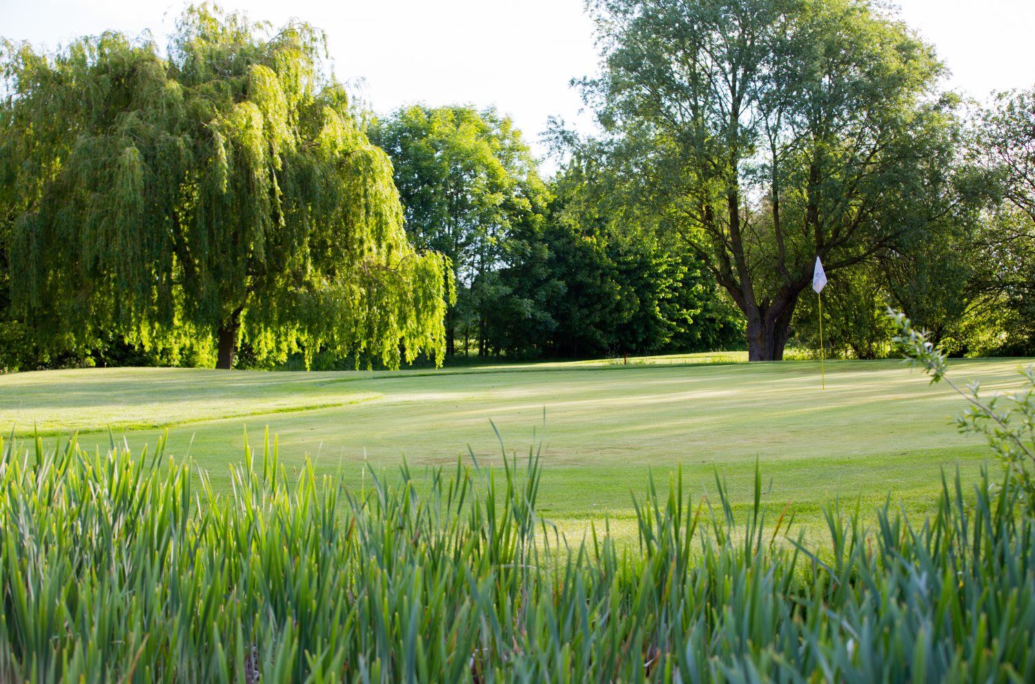 Map of Clubs :: Bedfordshire County Golf Union