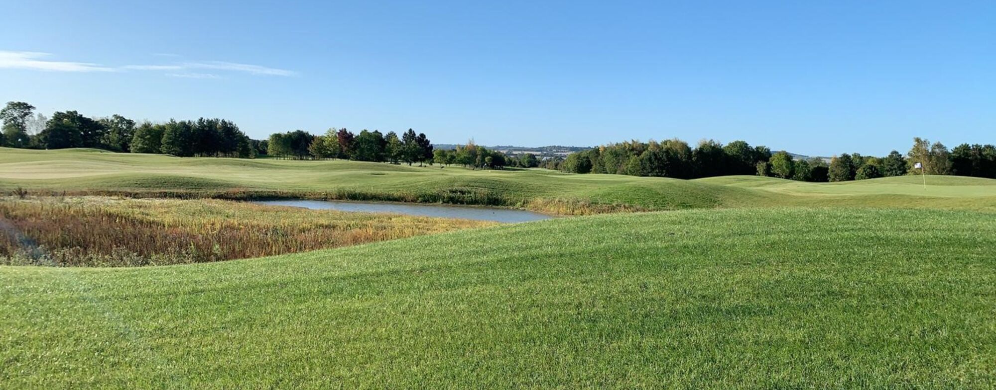 Home :: Bedfordshire County Golf Union